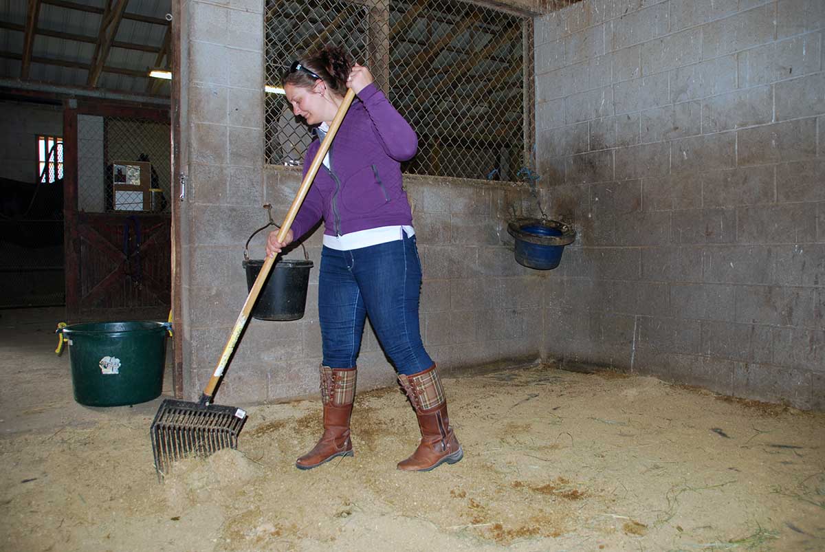 Clean Stall, Happy Horse: A Beginner's Guide to Stall Cleaning - My New ...