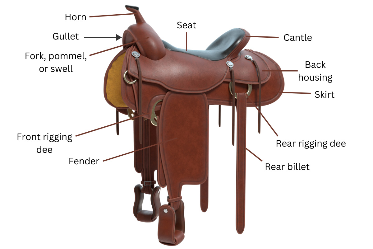 Saddle Fitting 101: How and Why To Check Your Horse’s Tack - My New Horse