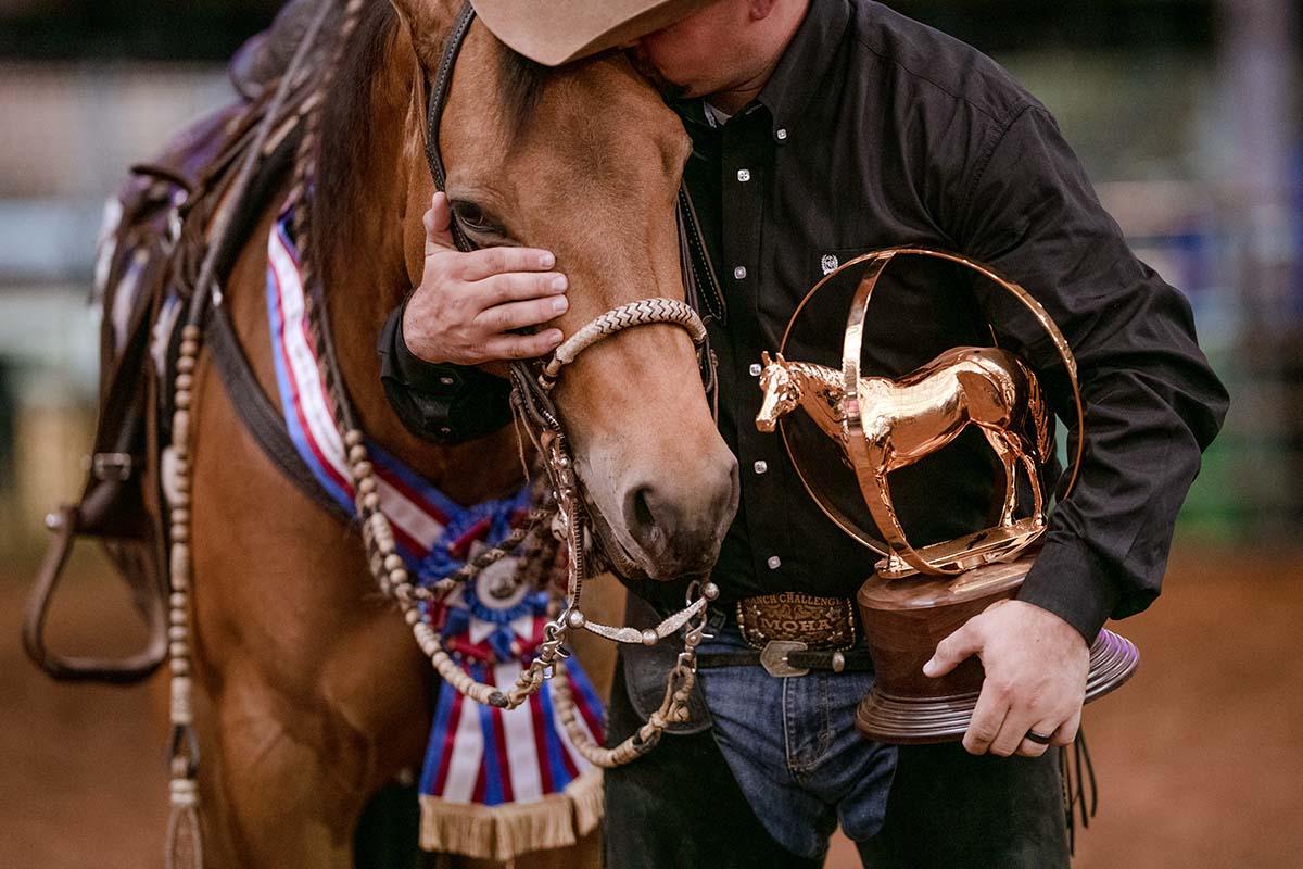 American Quarter Horse Association - My New Horse